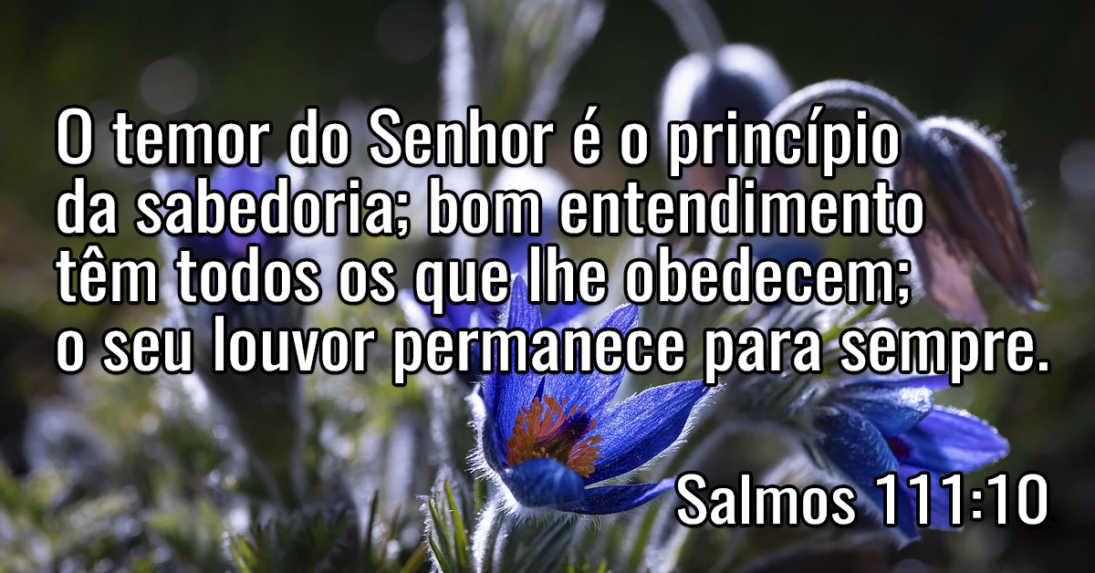 Bom entendimento têm Todos os que praticam seus mandamentos - Artigos ...